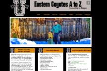 Hawk Mountain Designs Websites